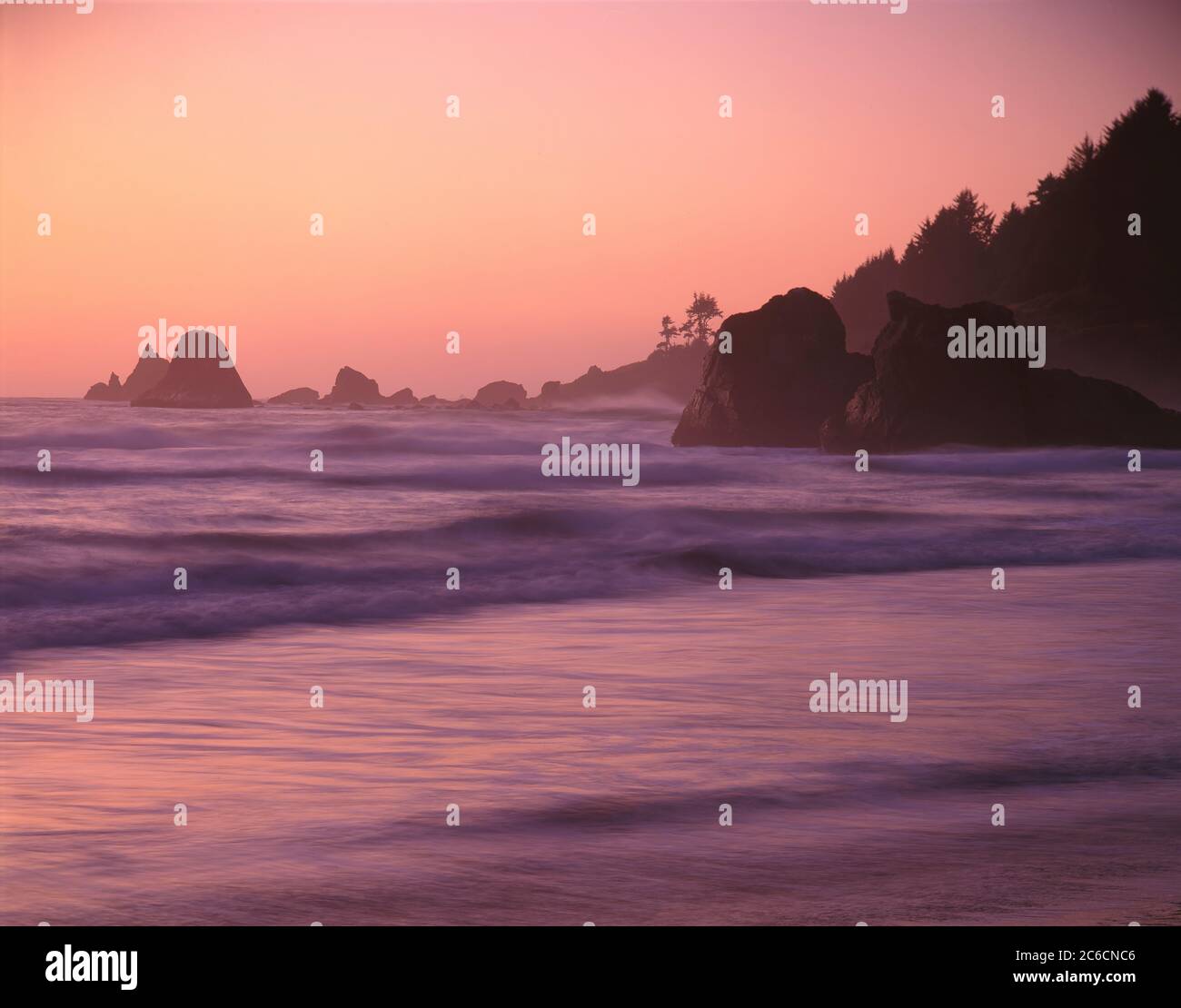Redwood National Park (coastal unit) CA / JUL The tide rolls out at ...