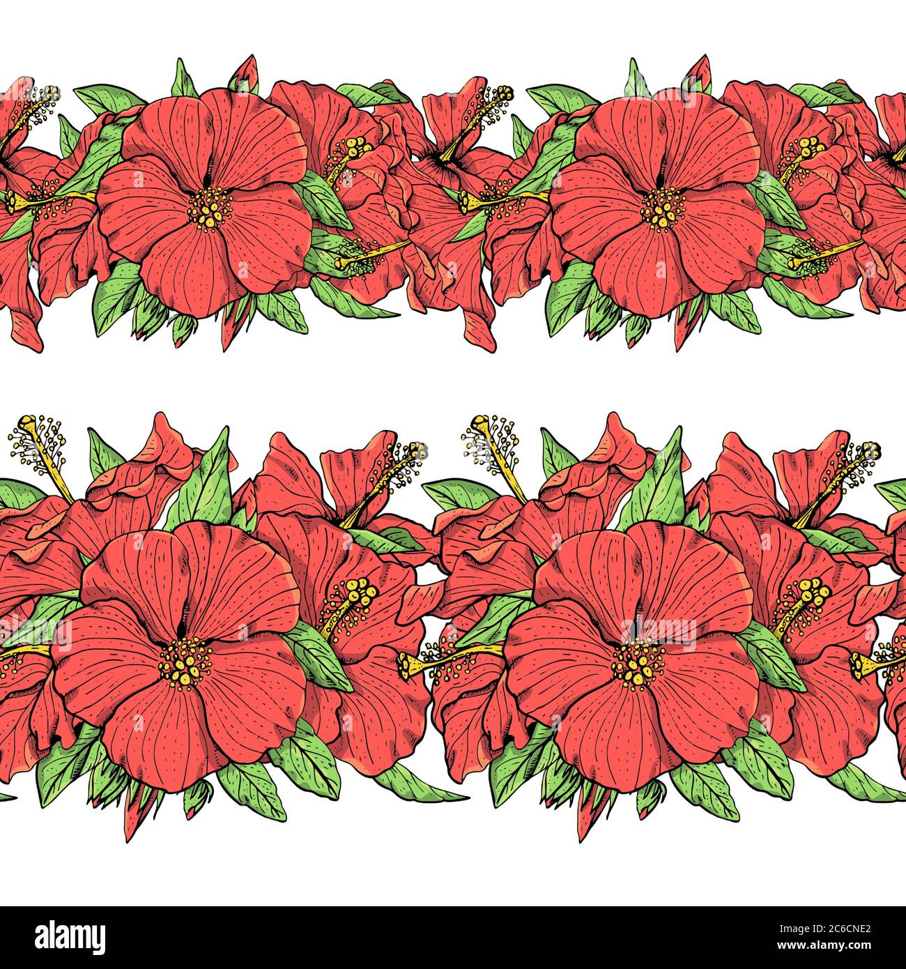 Hibiscus Flower Clipart Border