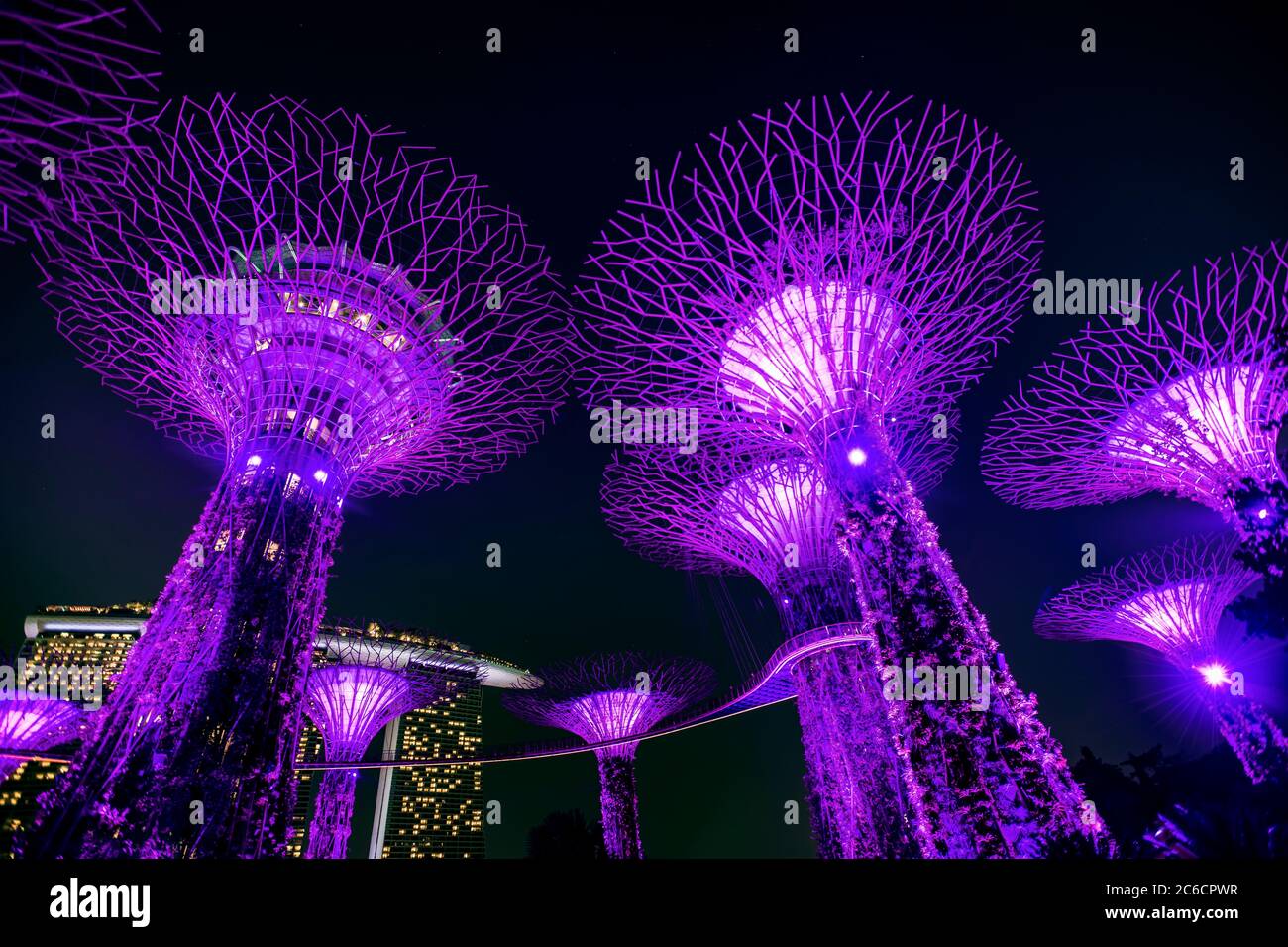 Garden Rhapsody Supertree light show, Gardens by the Bay, Singapore ...