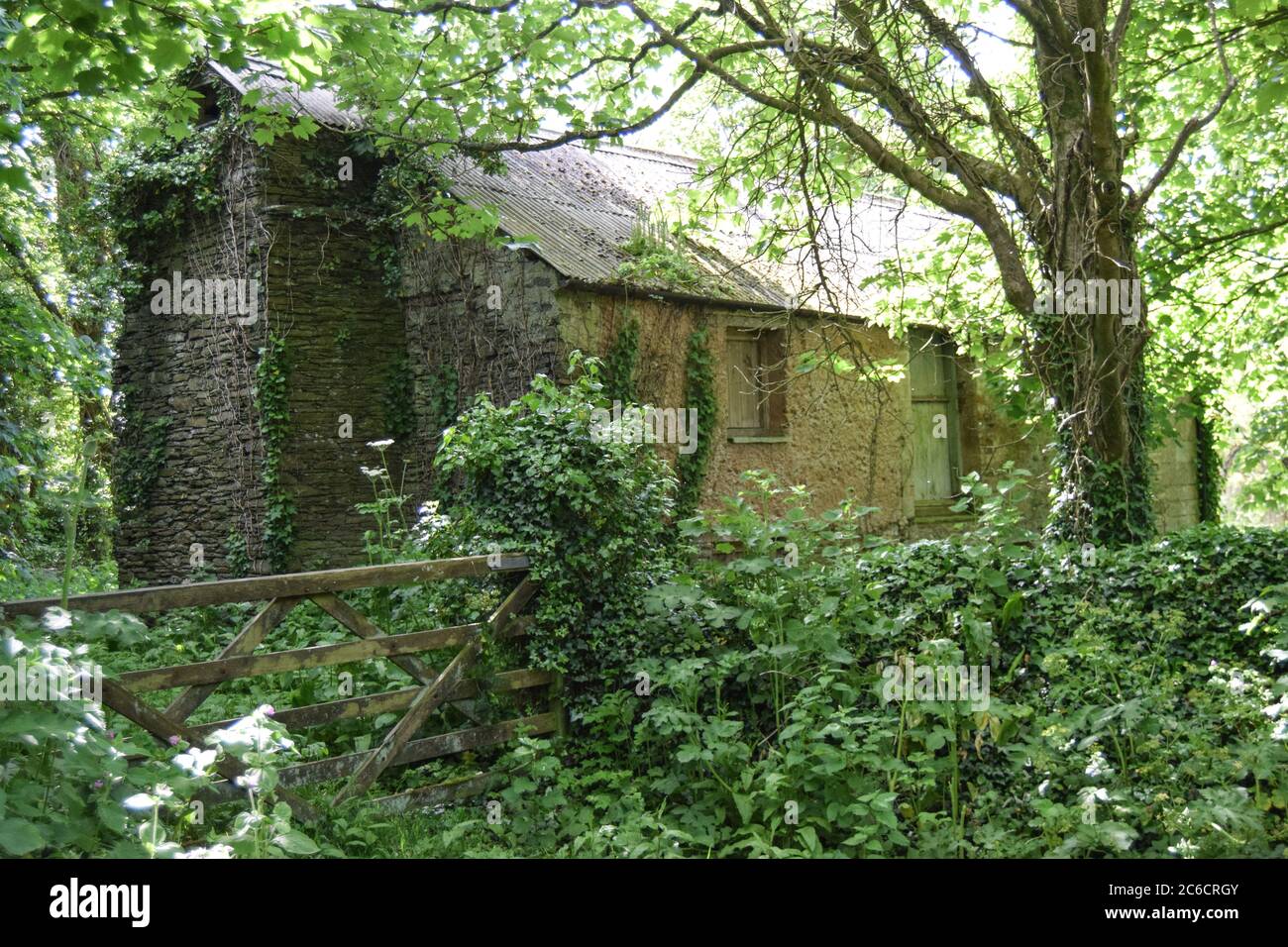 Hemmick Beach/Dodman 160520 Stock Photo - Alamy