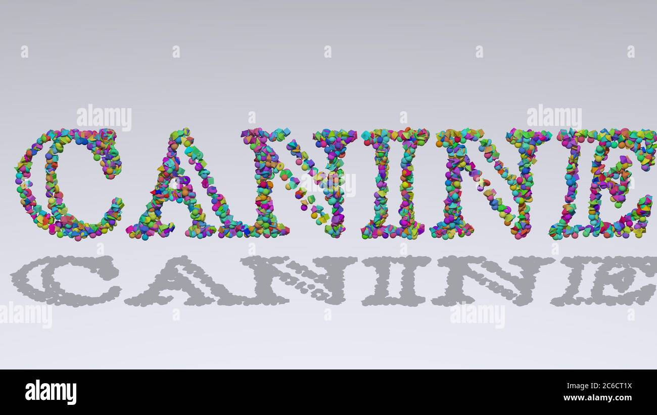 Colorful 3D writting of canine text with small objects over a white ...