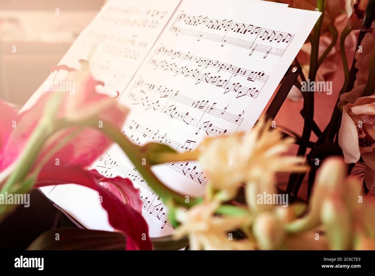 Classical Sheet Music Concept With Elegant Garden Composer Notes Stock ...