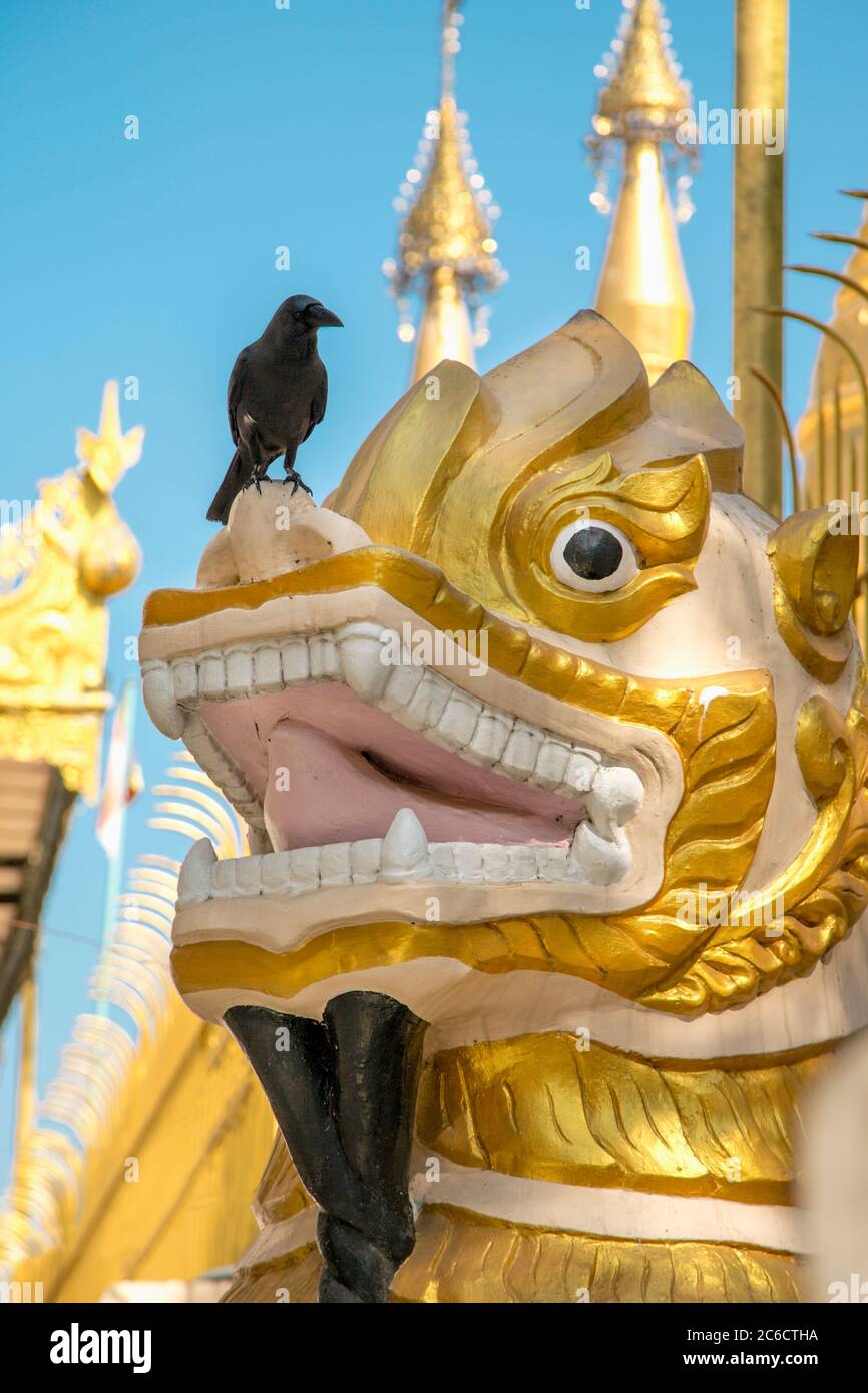 Chinthe myanmar hi-res stock photography and images - Alamy