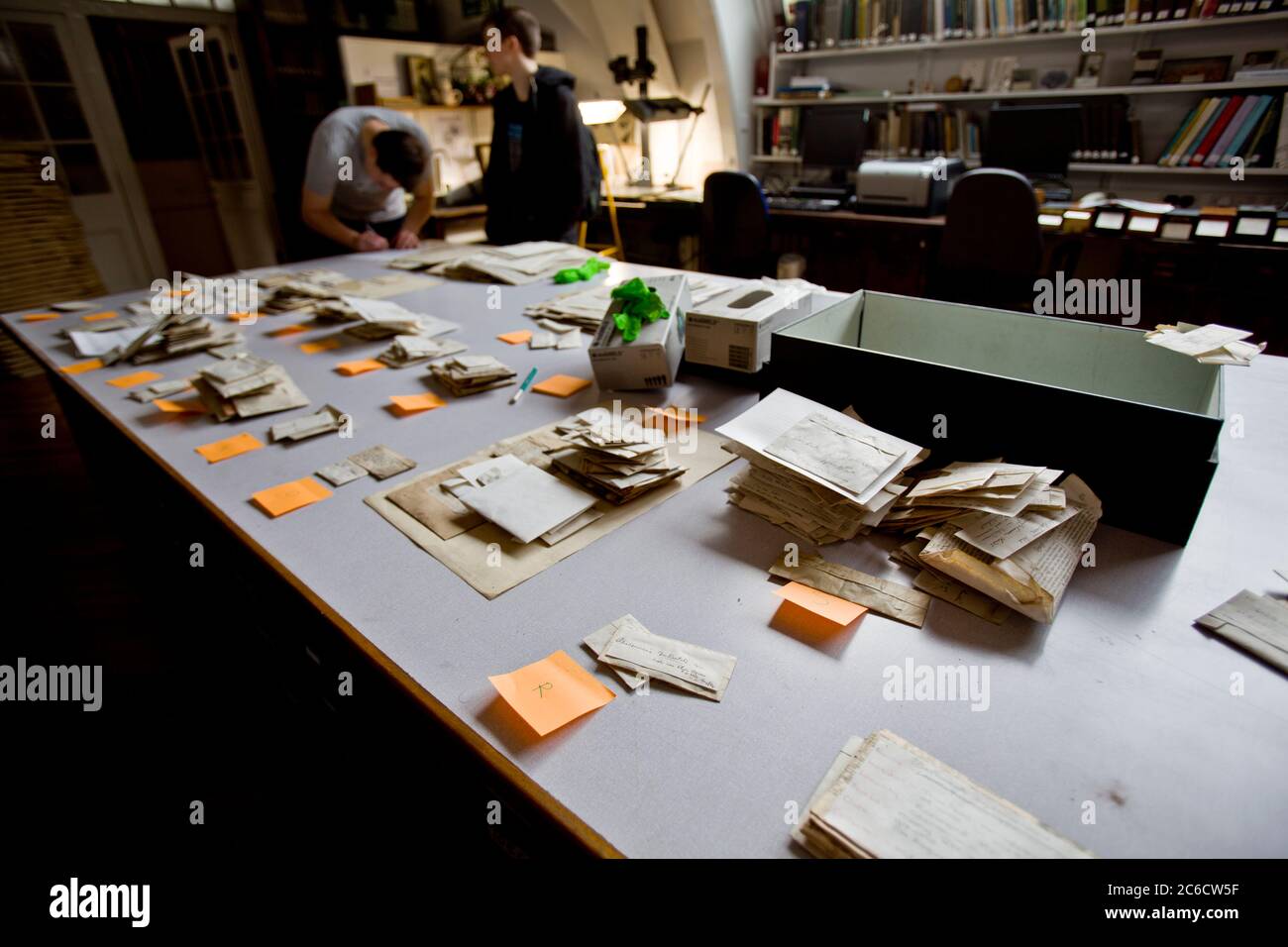 Botany and nature. Botanical learning and teaching. Plants, science ...