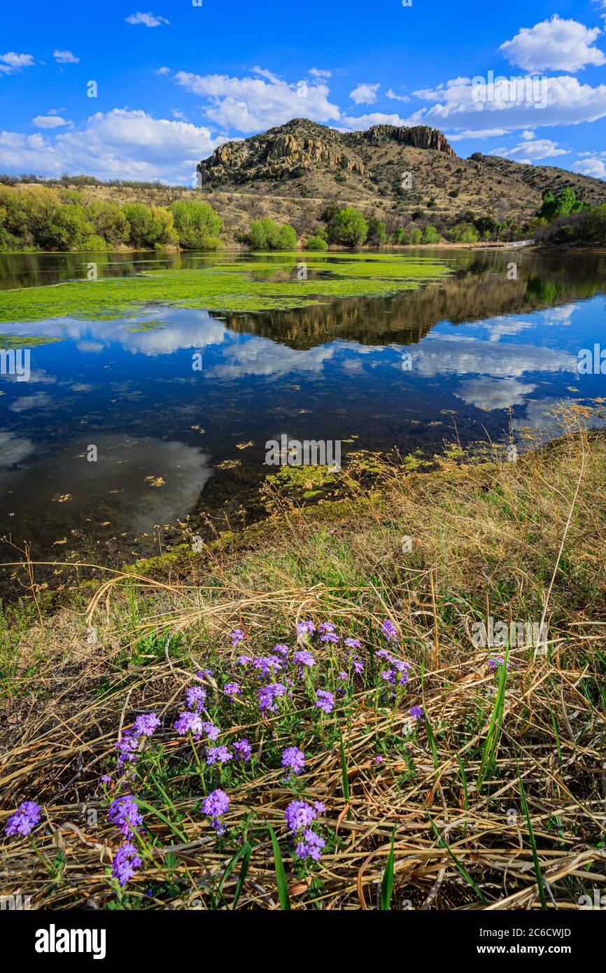 Arivaca arizona hi-res stock photography and images - Alamy