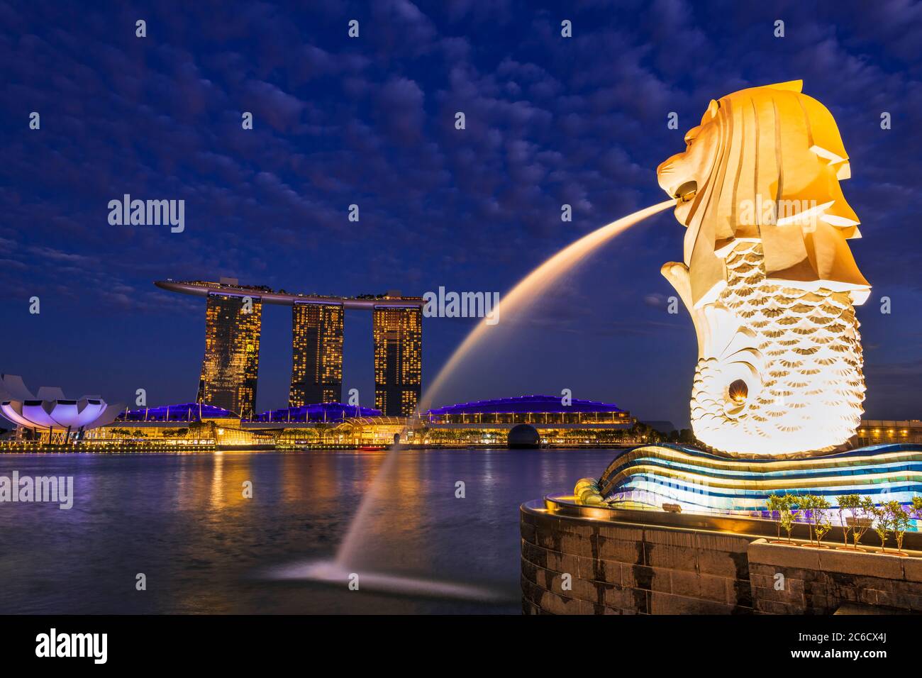 The Merlion Fountain and downtown skyline at night, Singapore, Republic ...