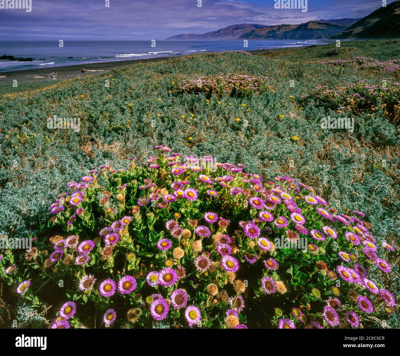 King range nca hi-res stock photography and images - Alamy