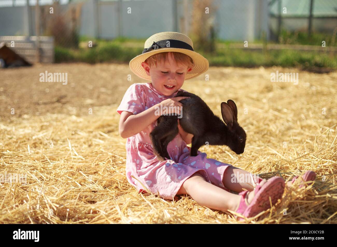 Laughing rabbits hi-res stock photography and images - Alamy