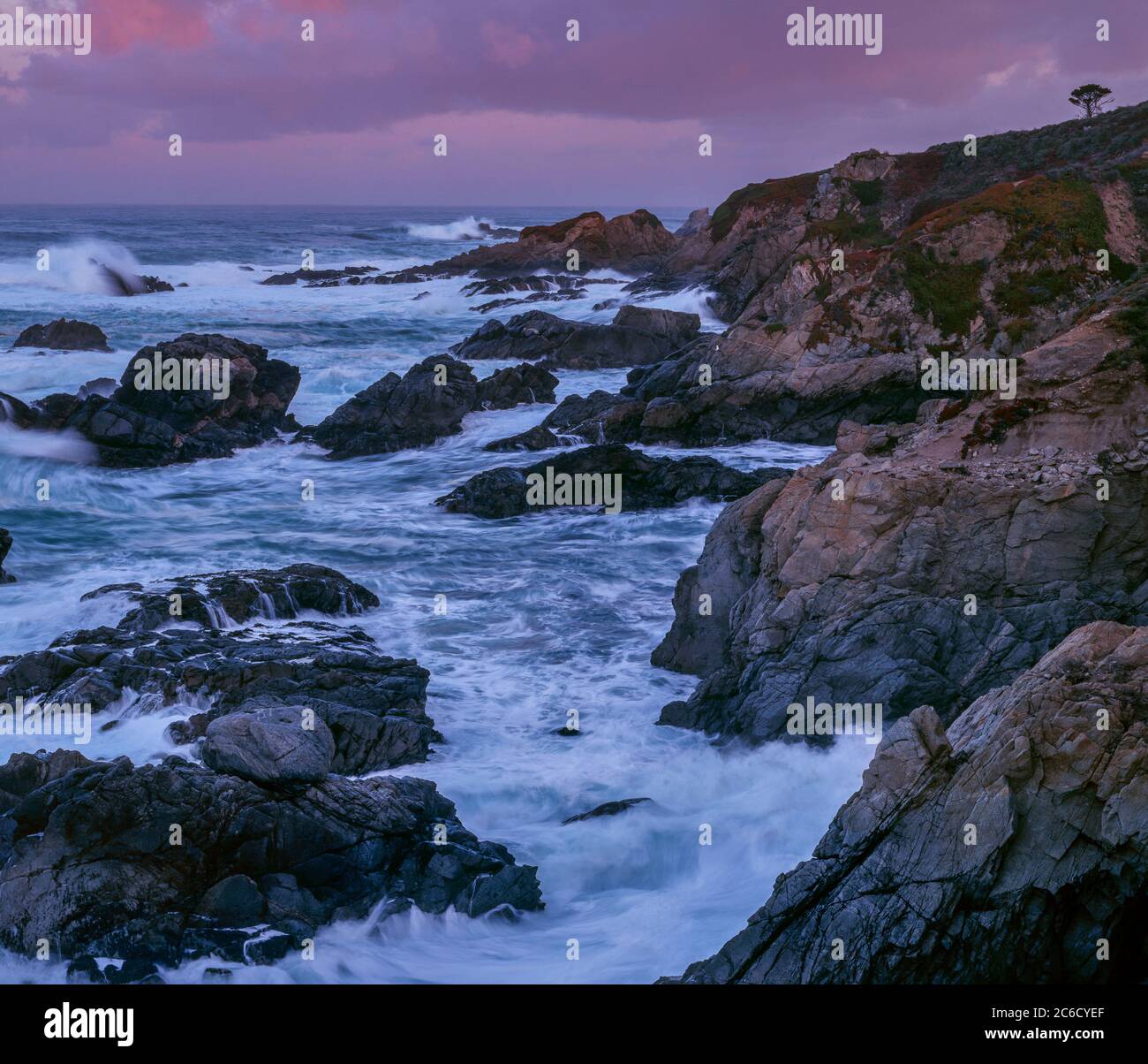 Sea otter park big sur hi-res stock photography and images - Alamy