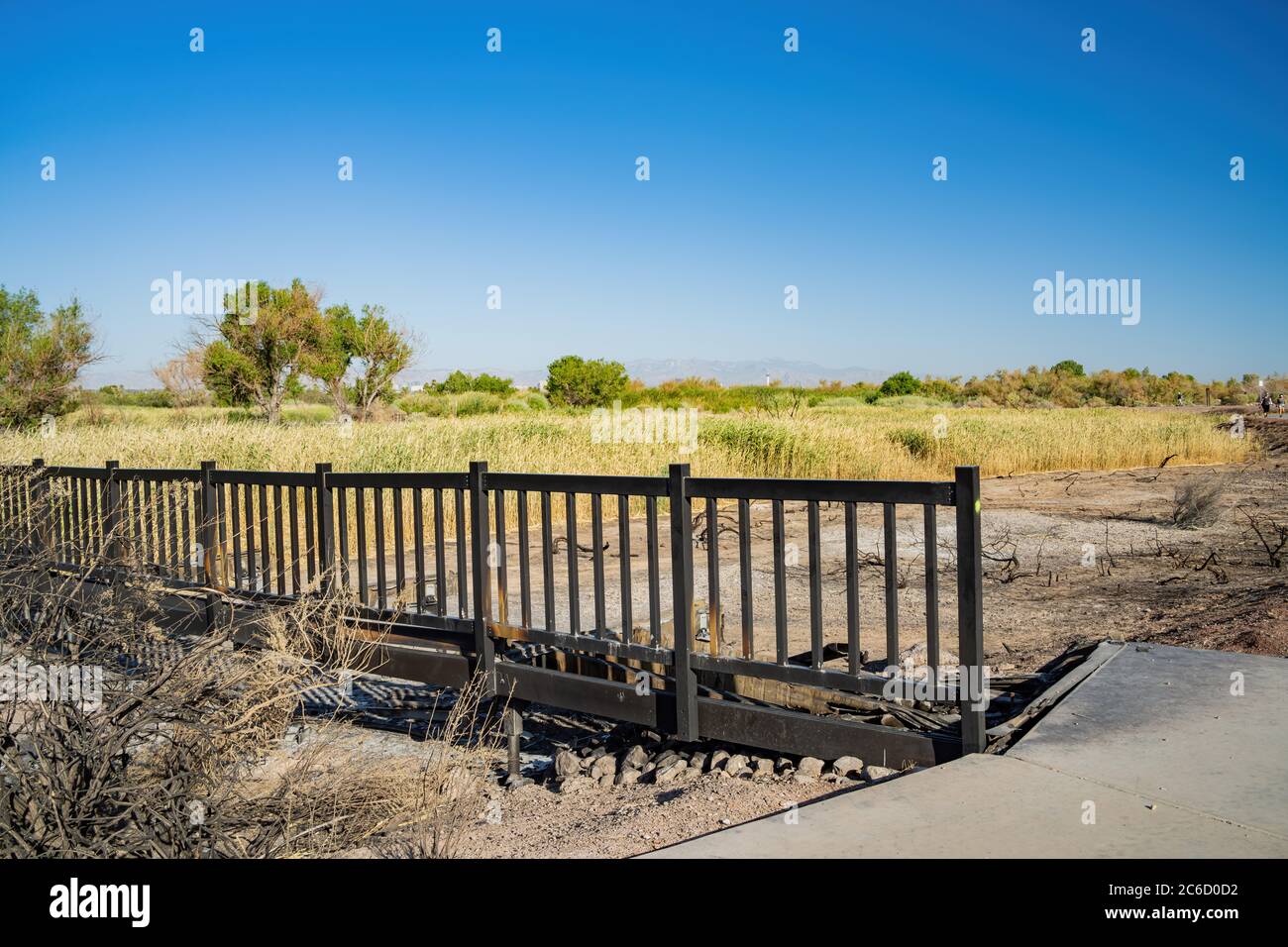 Damaged wetlands hi-res stock photography and images - Alamy