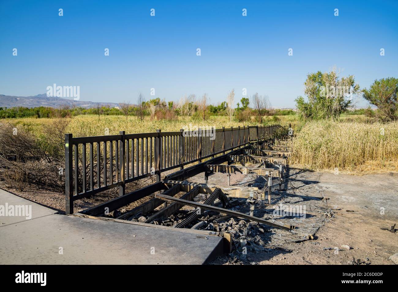 Damaged wetlands hi-res stock photography and images - Alamy