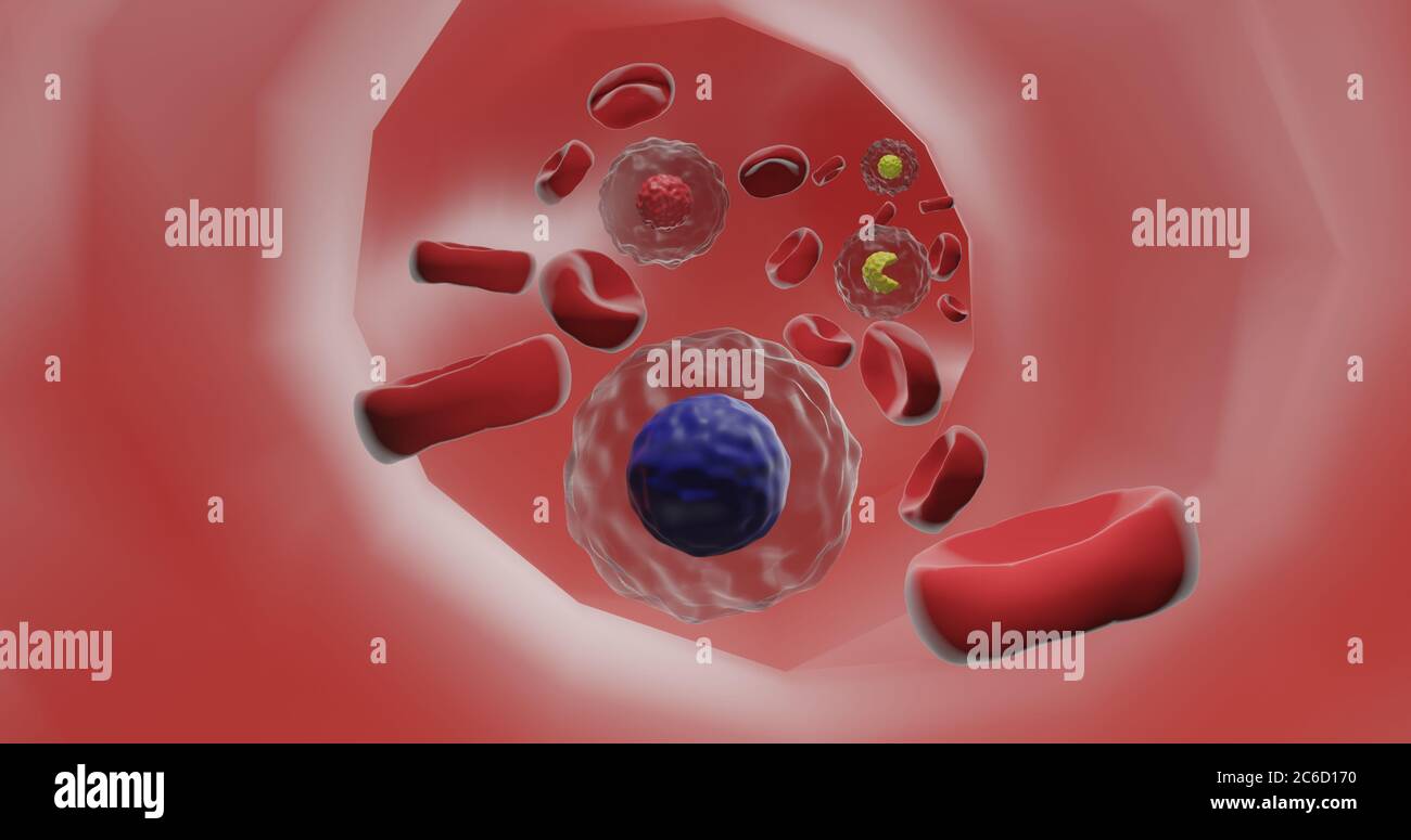 Transparent artery vein hi-res stock photography and images - Alamy