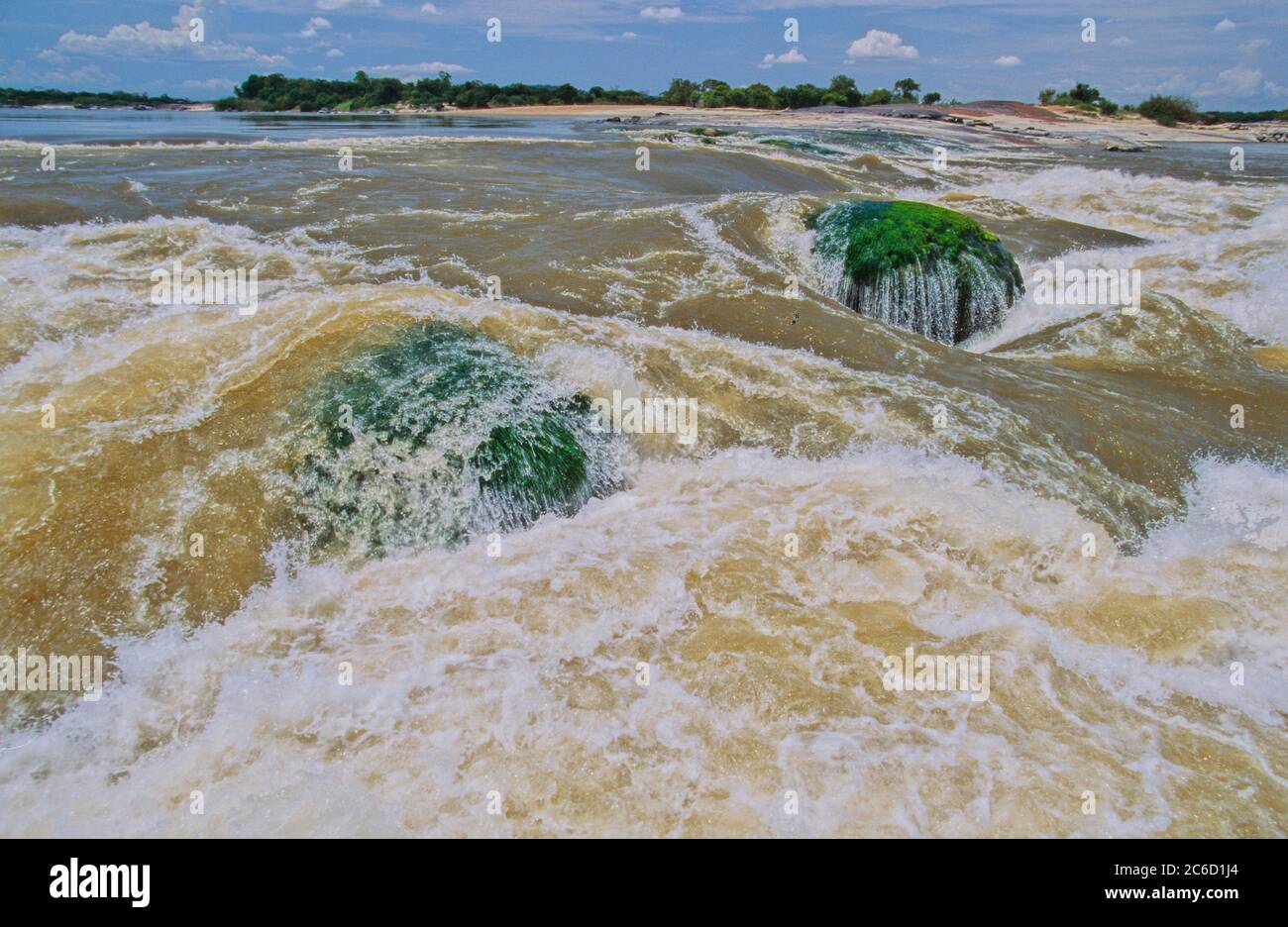 Atures hi-res stock photography and images - Alamy