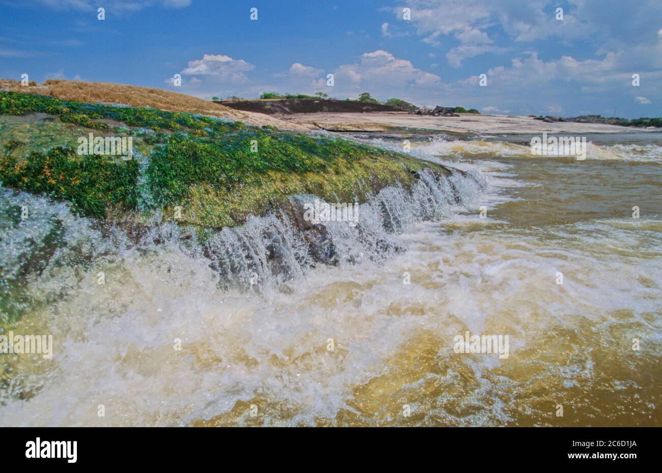 Atures hi-res stock photography and images - Alamy