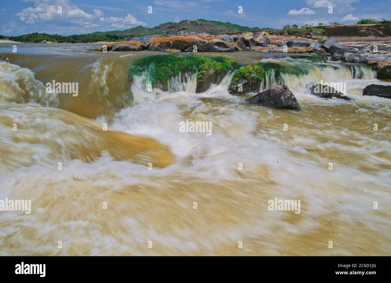 Atures hi-res stock photography and images - Alamy