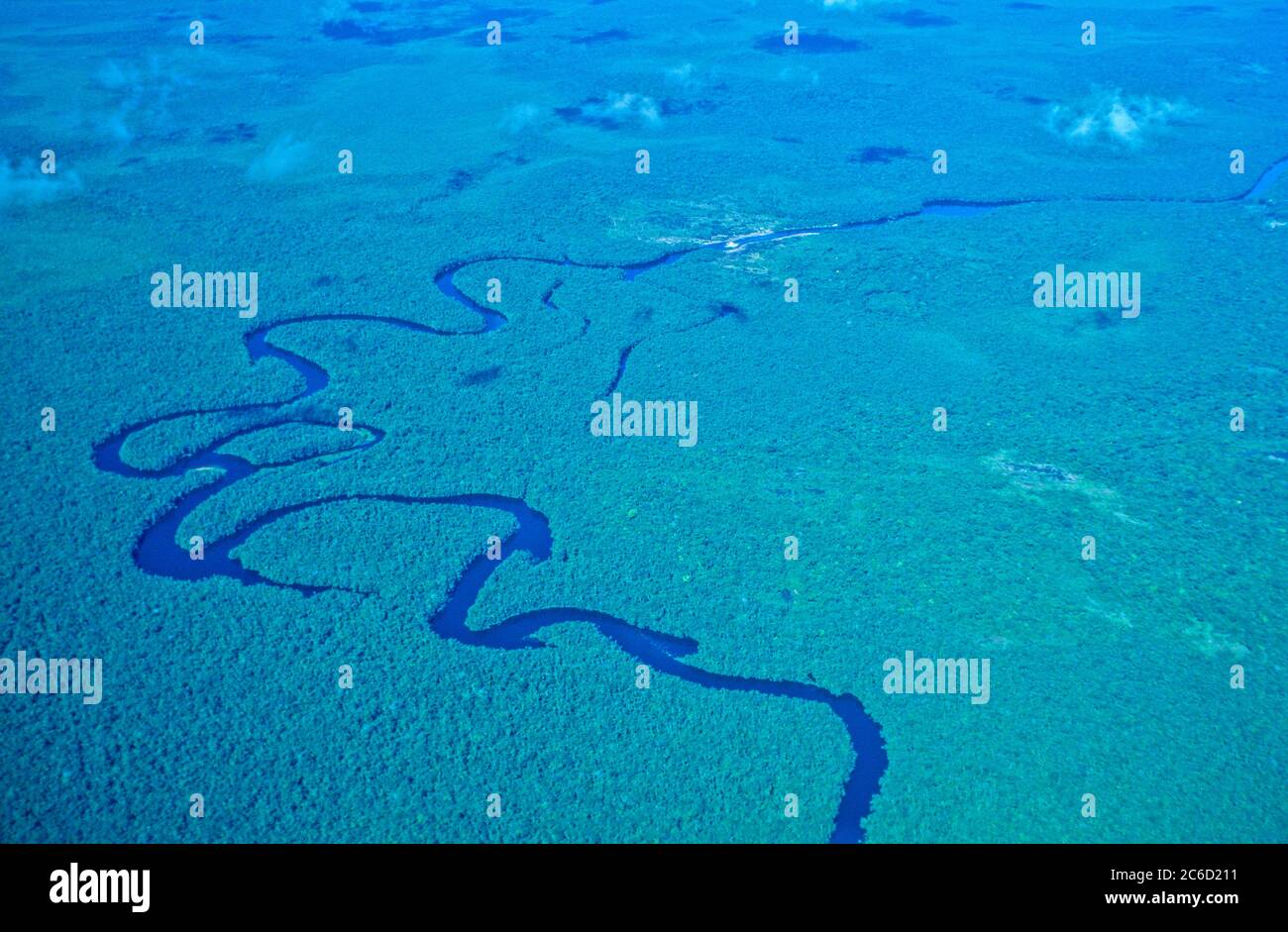RIVER IN THE AMAZON FOREST, FROM THE AIR, AMAZONAS STATE, VENEZUELA ...