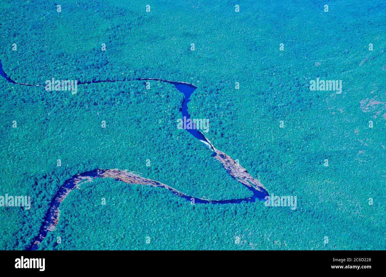 RIVER IN THE AMAZON FOREST, FROM THE AIR, AMAZONAS STATE, VENEZUELA ...