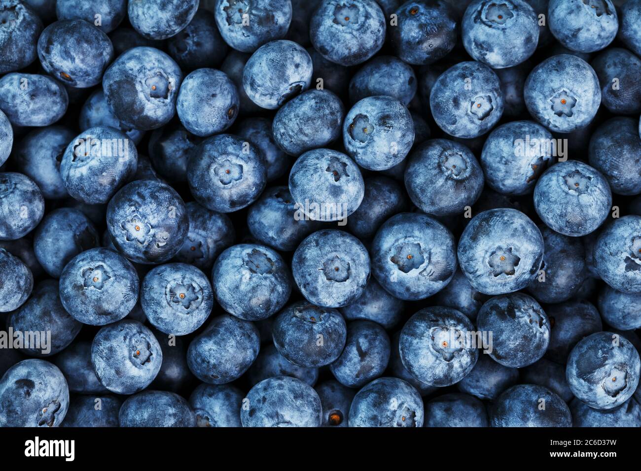 Blueberries in the form of a full-screen texture Stock Photo - Alamy