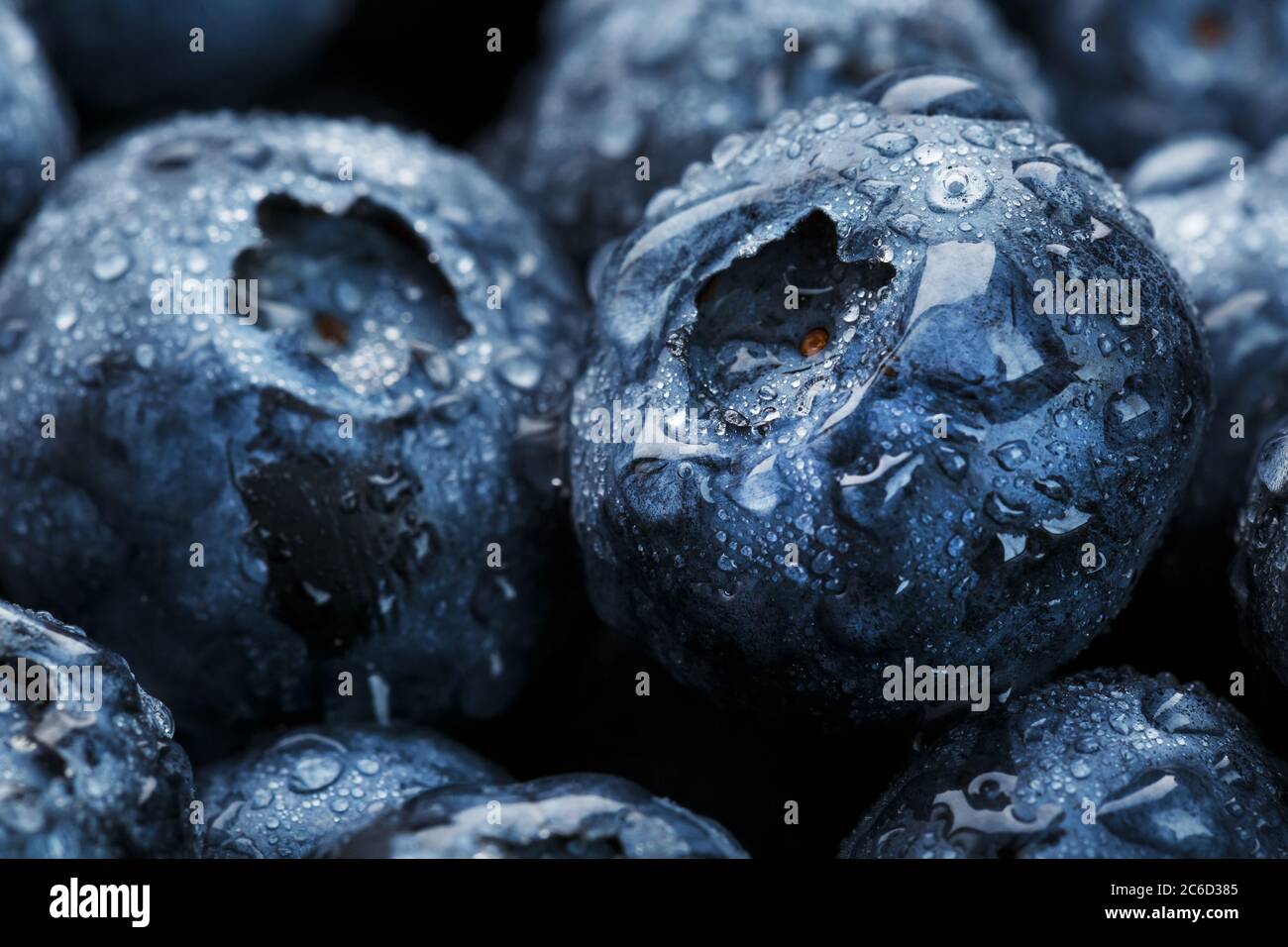Blueberries close-up in full screen with dew drops Stock Photo - Alamy