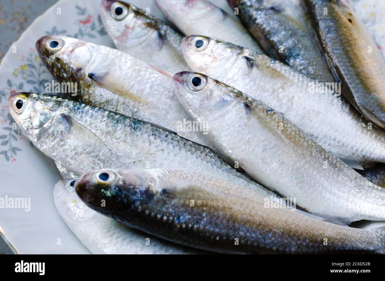 Fresh Mullet Fish for Cooking Stock Photo - Alamy