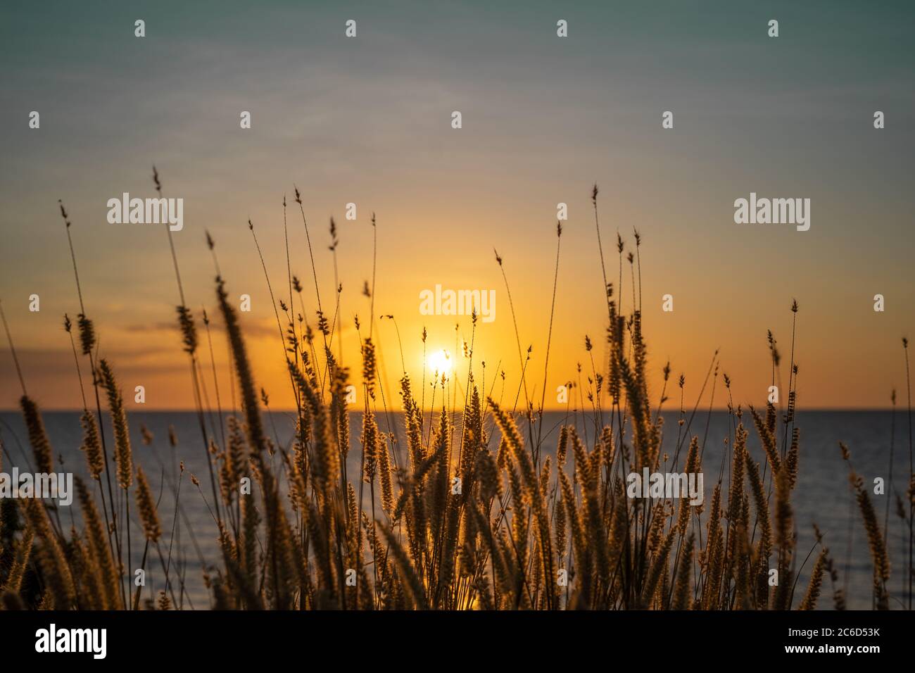 Casuarina beach nt hi-res stock photography and images - Alamy
