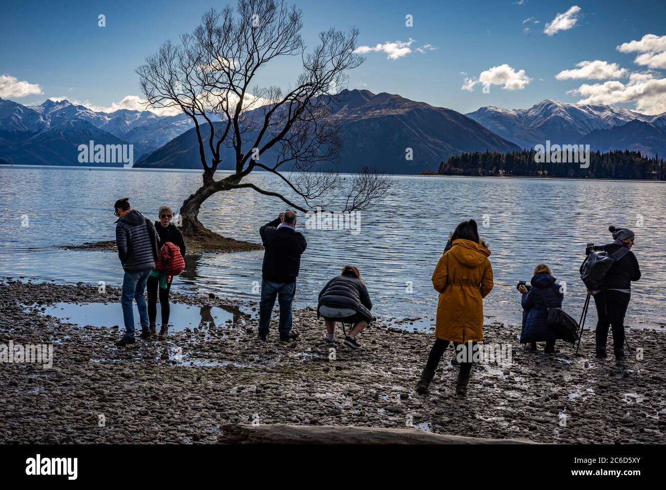 Alone tree lake wanaka hi-res stock photography and images - Alamy
