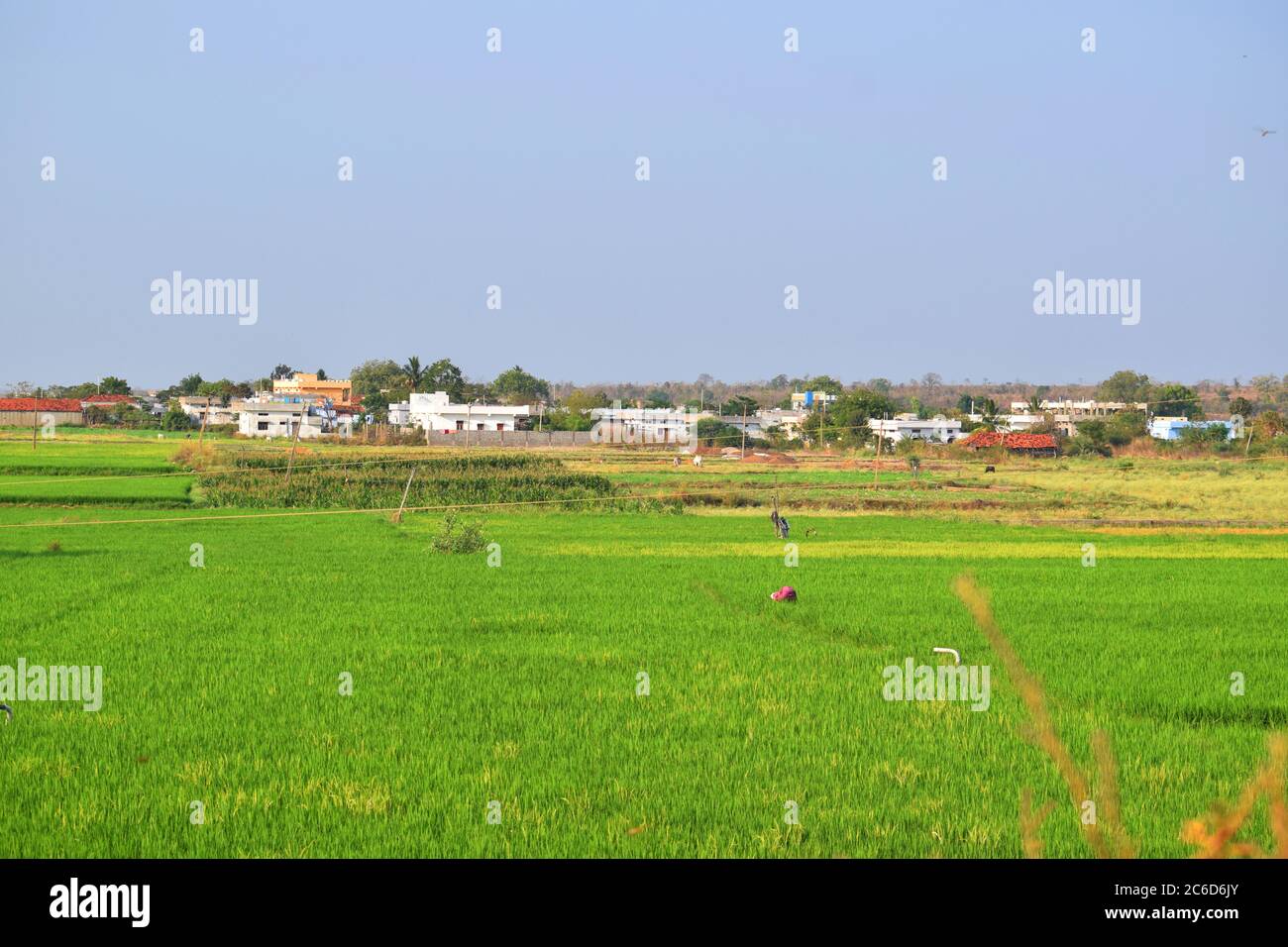 Farm Farm Farm In Plains Indians