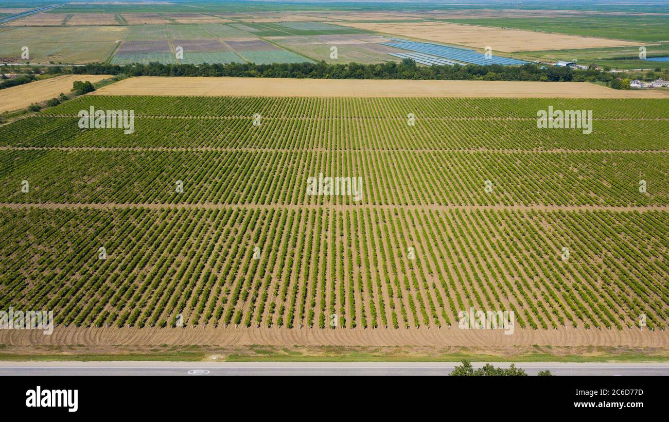 Aerial view of a country road in beautiful agricultural fields in ...