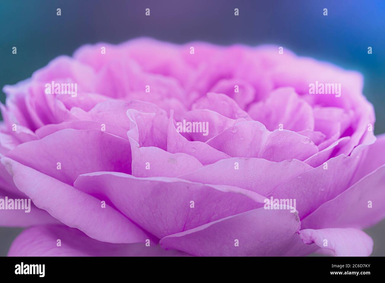 Full open head hi-res stock photography and images - Alamy