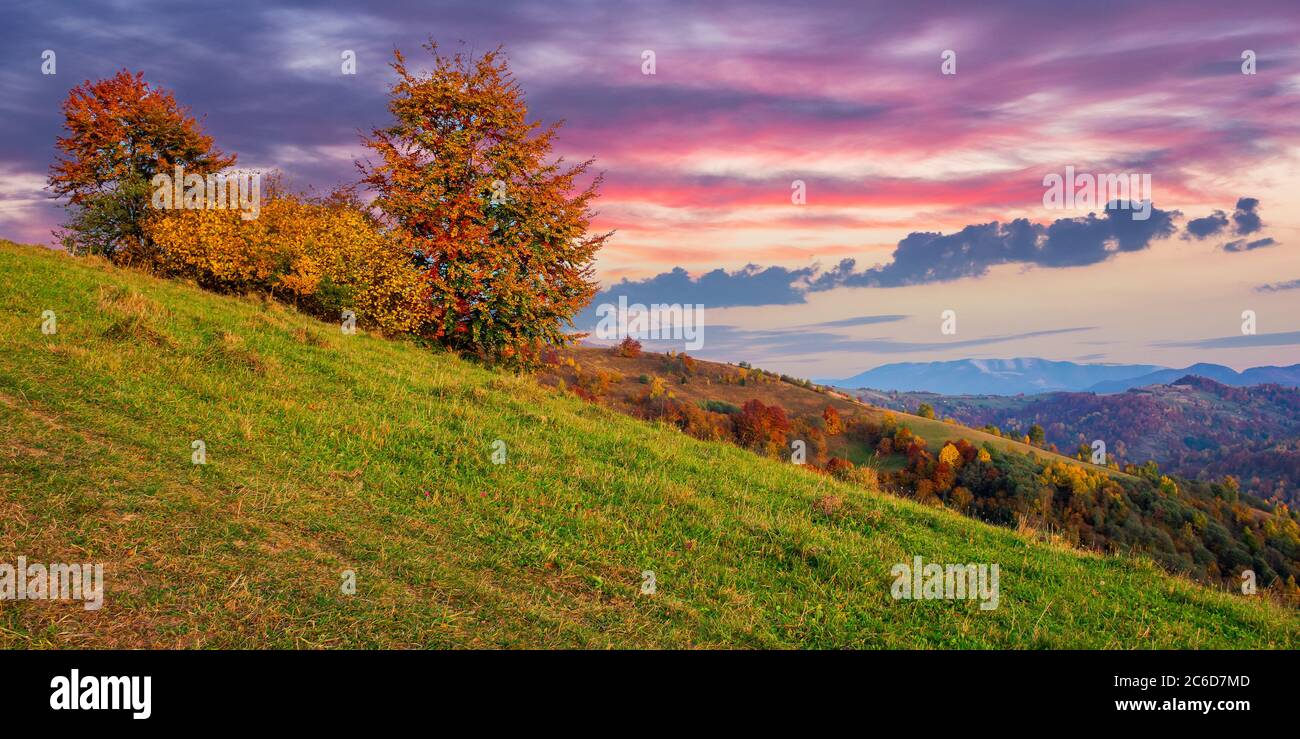 autumnal rural landscape at dusk. beautiful countryside in mountains ...