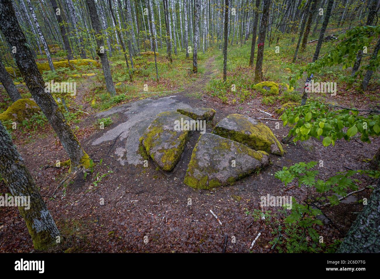 Mysterious pathway through the woods hi-res stock photography and ...
