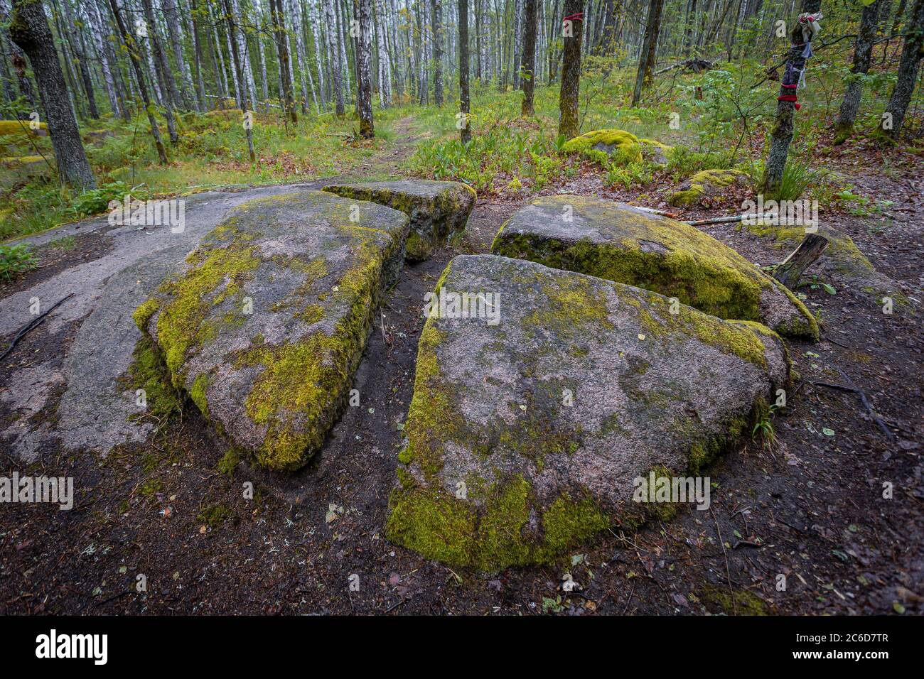 Broken stone pathway hi-res stock photography and images - Alamy