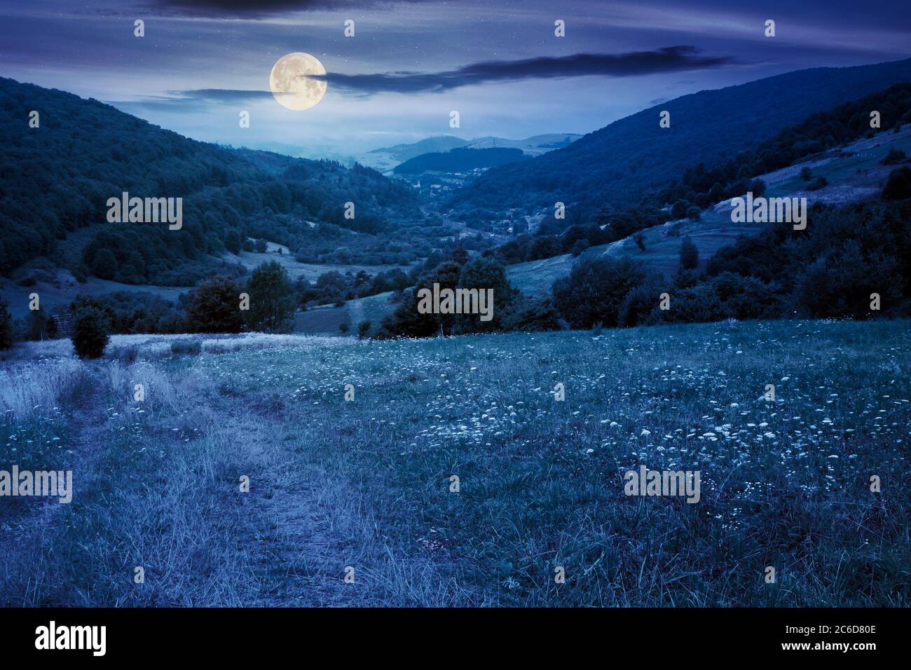 country road through rural field at night. suburban summer landscape in ...