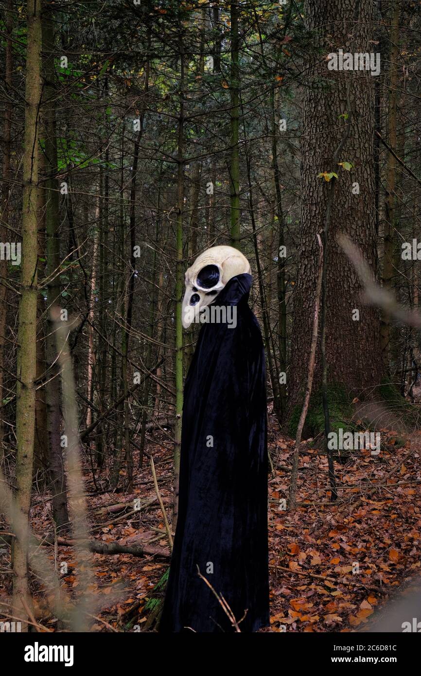 Halloween holiday concept. Skull crow costume. Scary bird in the dark ...