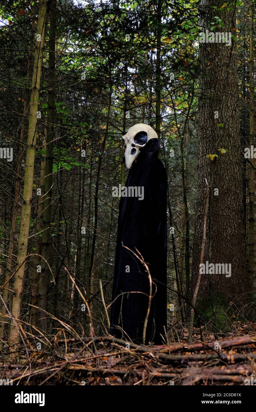Halloween holiday skull crow costume scary bird in the hi-res stock ...