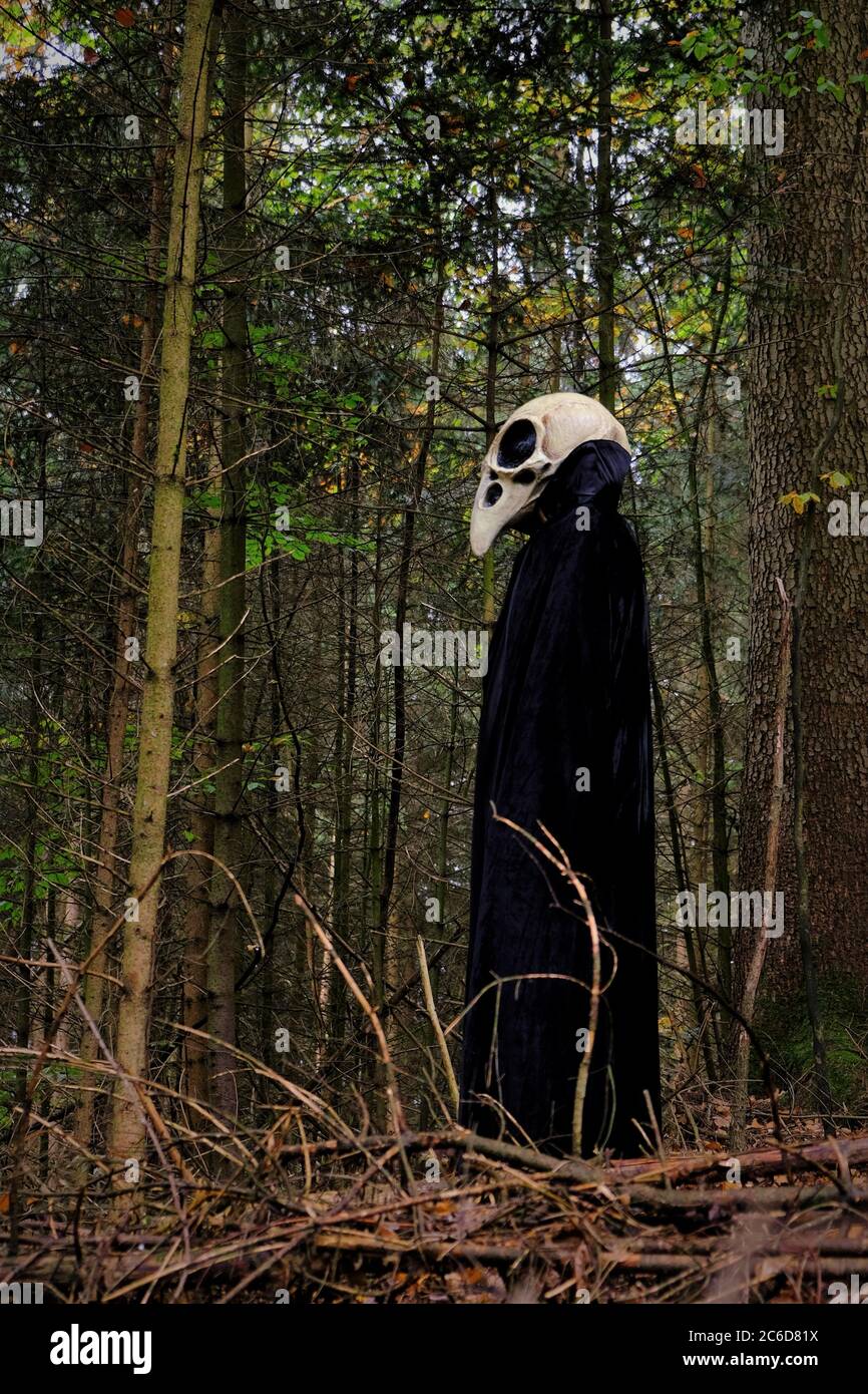 Scary bird hi-res stock photography and images - Alamy