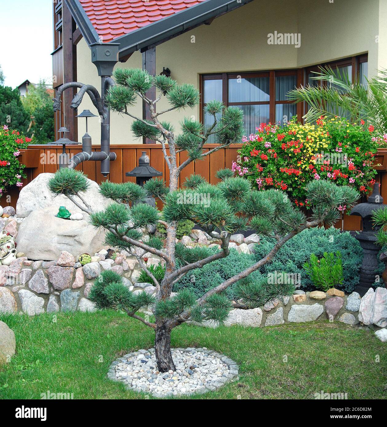 Topiary topiaries hi-res stock photography and images - Alamy