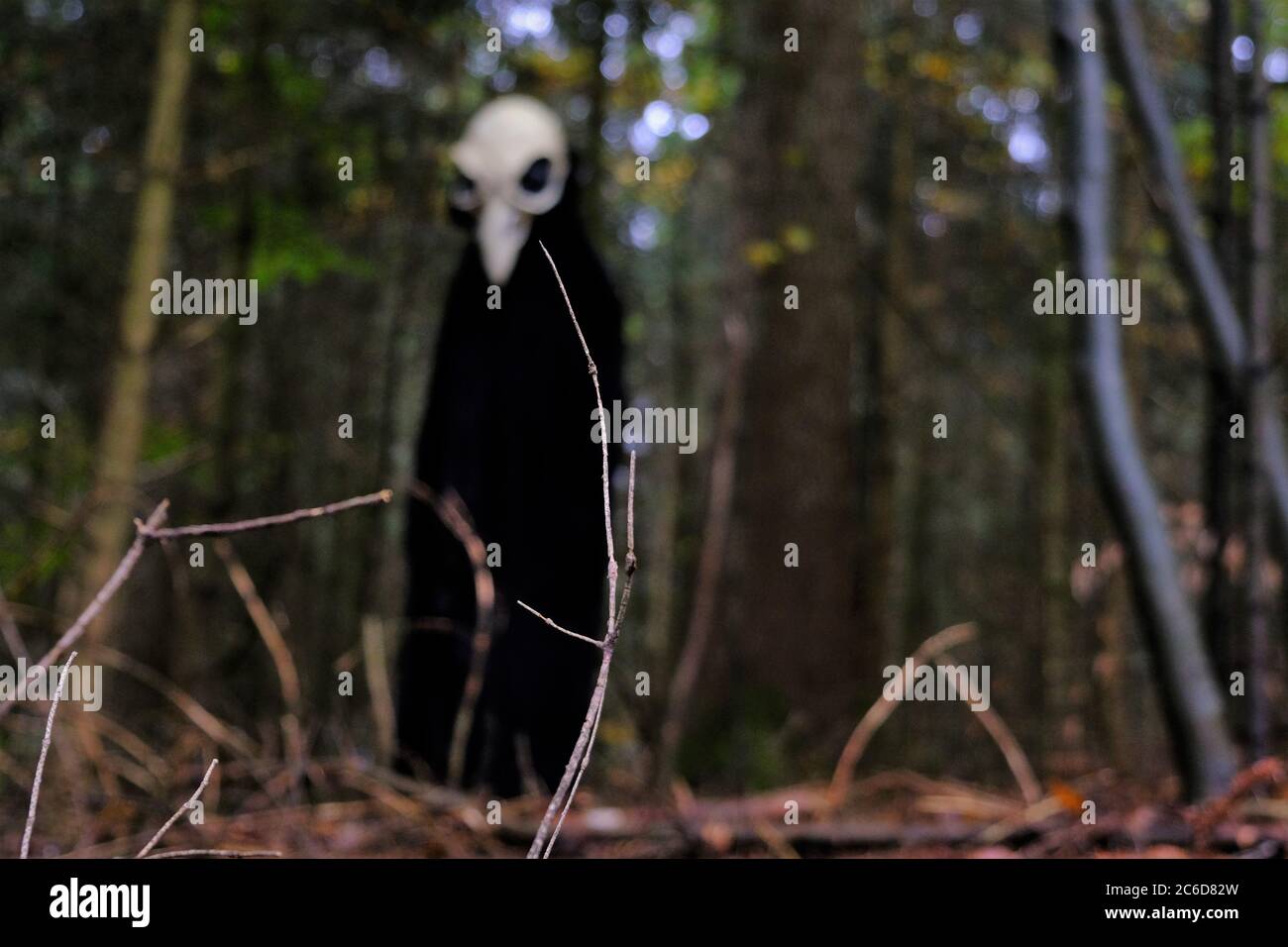 Halloween holiday . Skull crow costume. Scary bird in the dark autumn ...