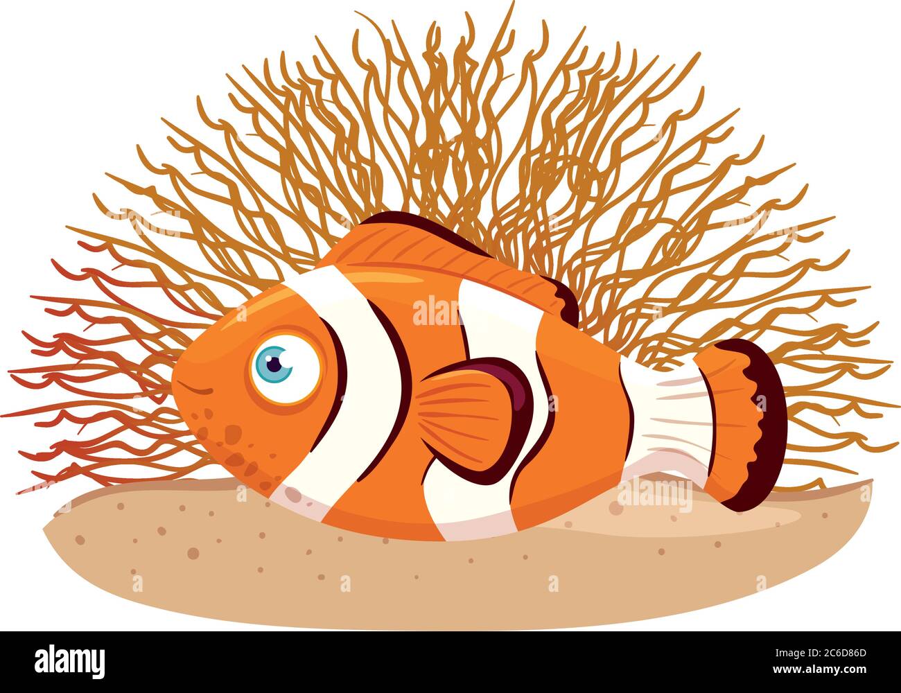 sea underwater life, anemone fish with coral, clownfish on white ...