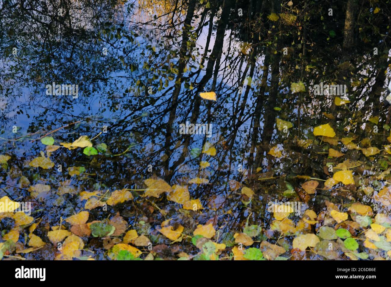 Autumn time.Reflection of trees and autumn leaves in the water.Autumn ...