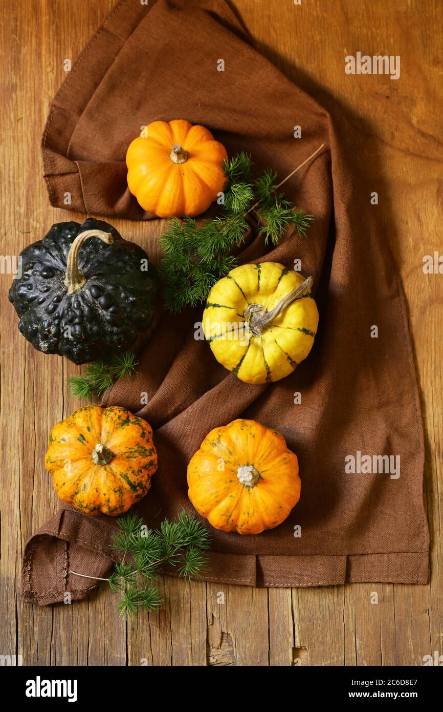 autumn still life with fresh pumpkins for decoration Stock Photo - Alamy