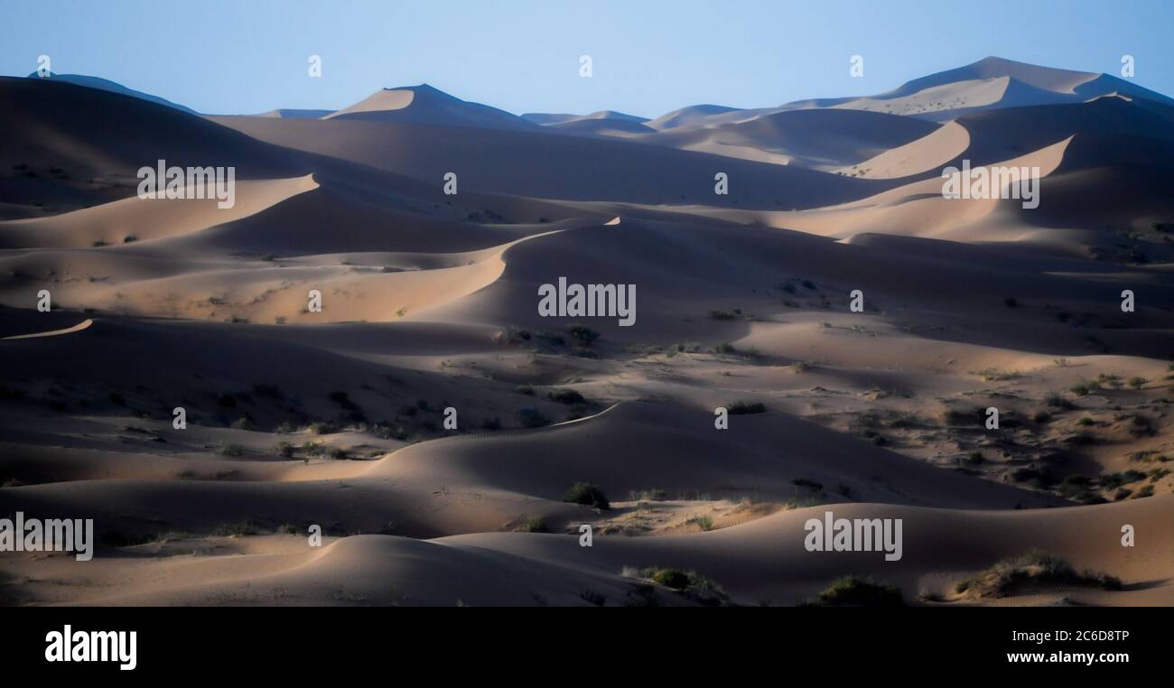 Alxa. 8th July, 2020. Photo taken on July 8, 2020 shows the scenery of ...