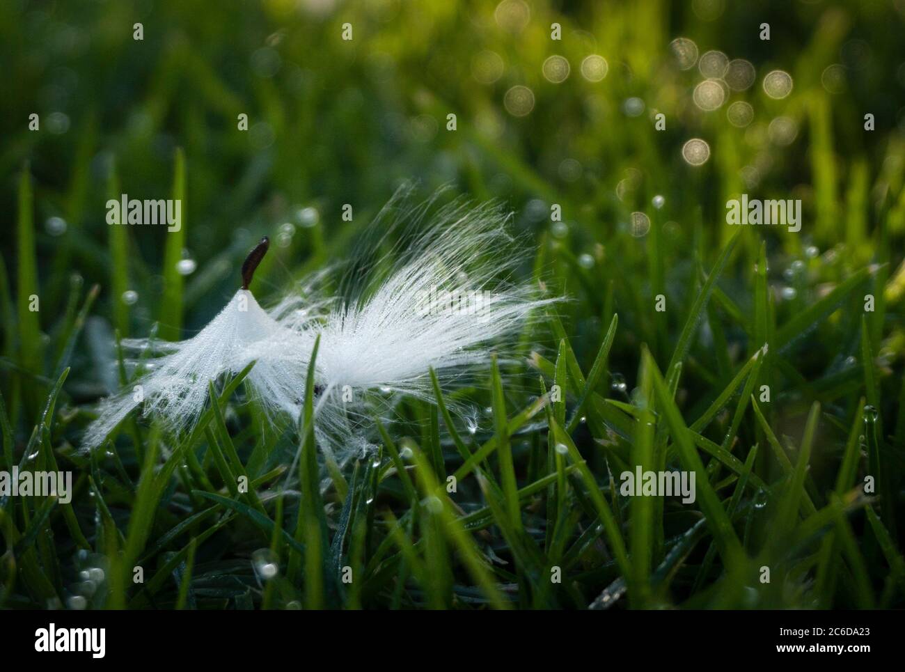 Floaties hi-res stock photography and images - Alamy