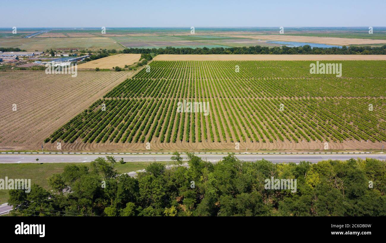 Aerial view of a country road in beautiful agricultural fields in ...