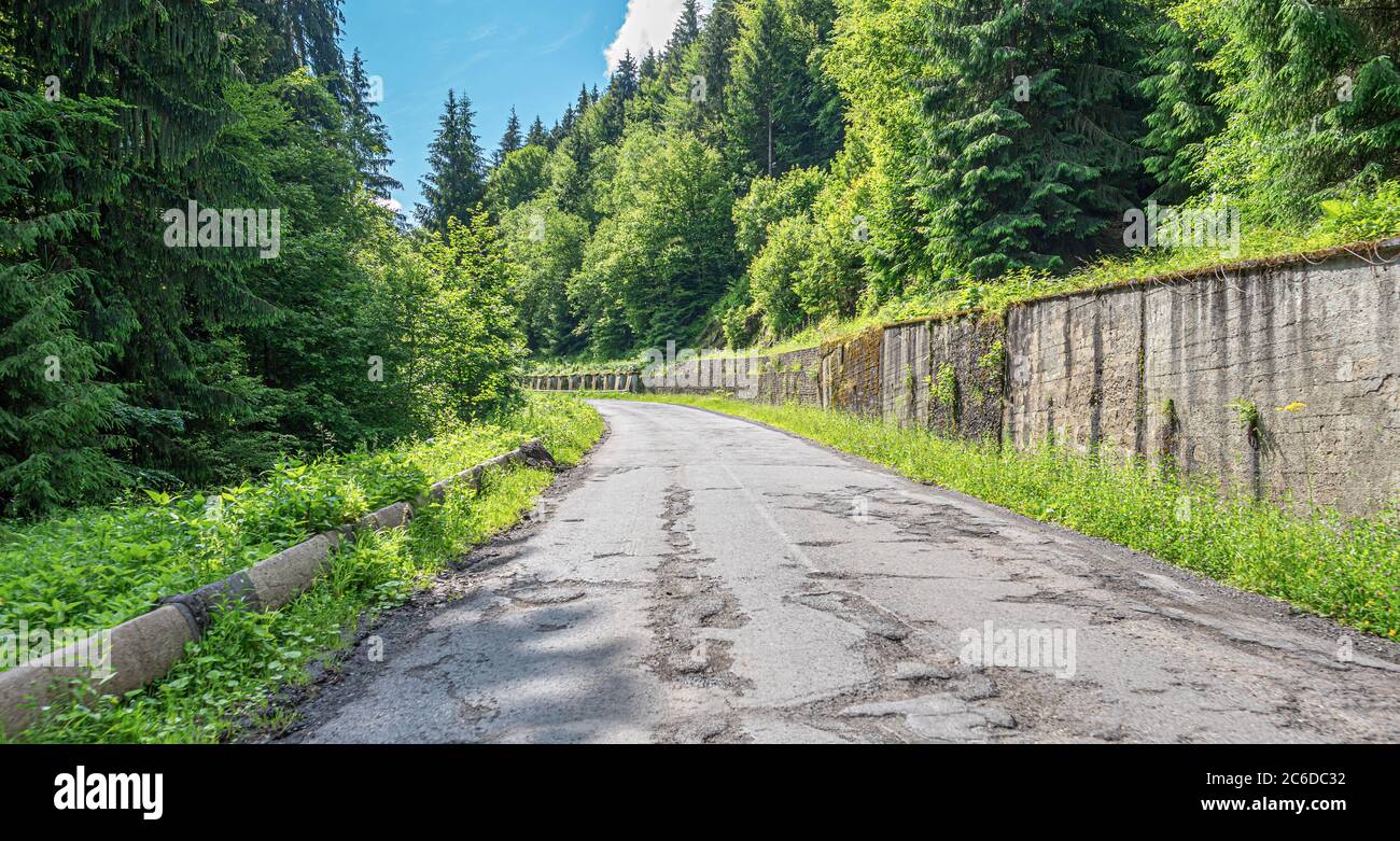 Old asphalt road in a forest Stock Photo - Alamy