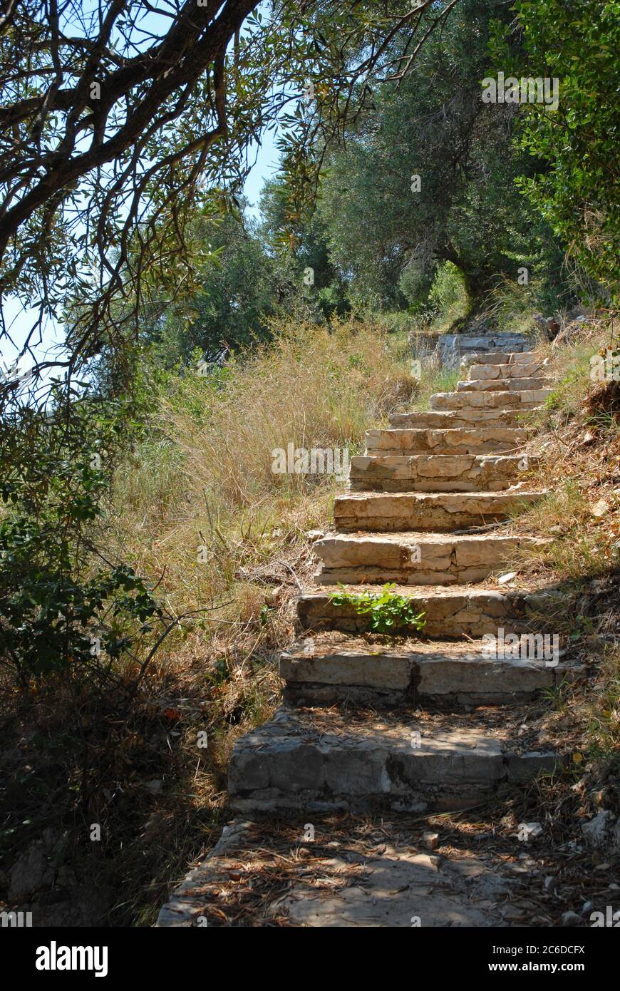Set of steps hi-res stock photography and images - Alamy