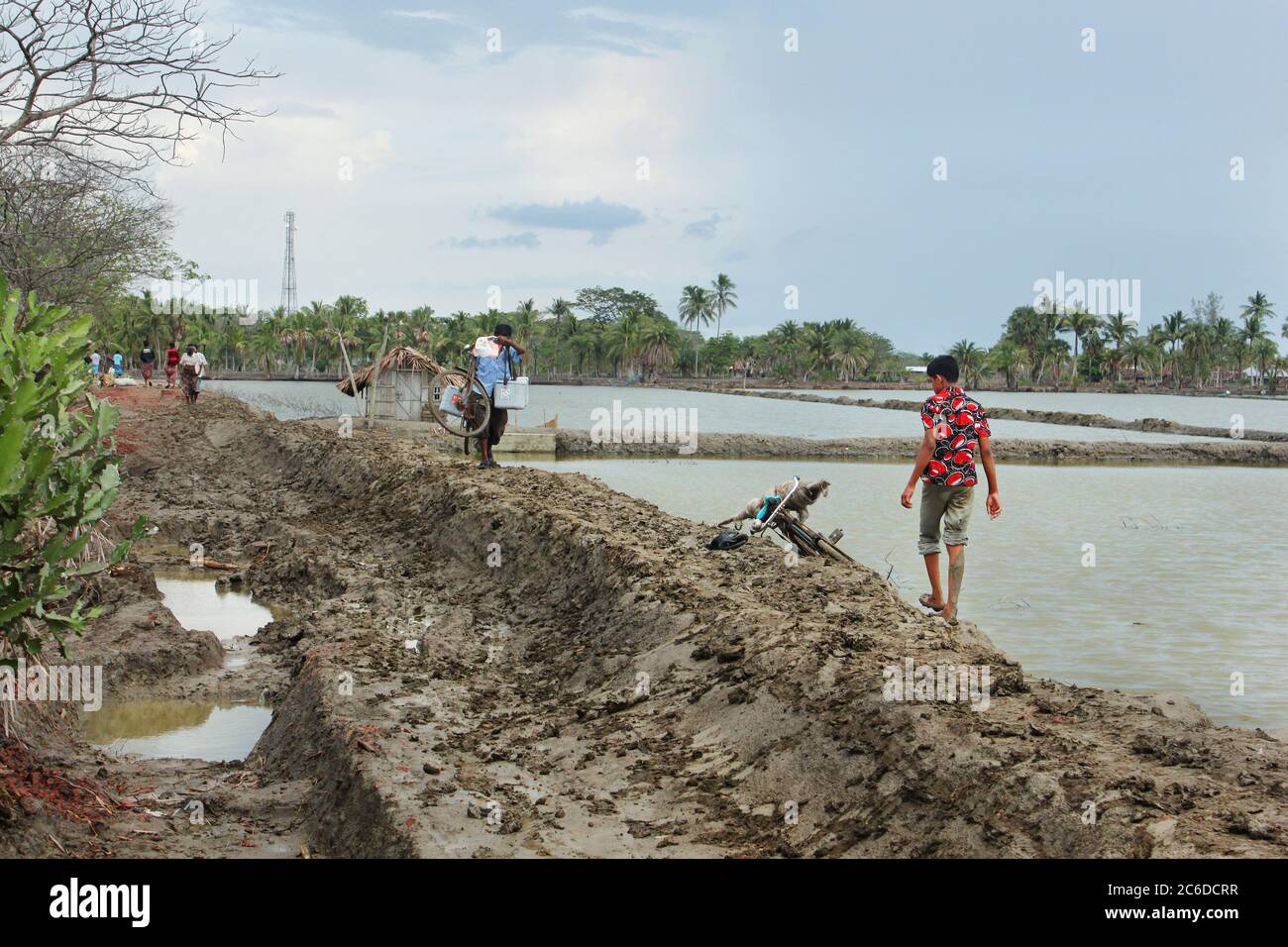 Cyclone Aila affected village at Khulna, Bangladesh Stock Photo - Alamy