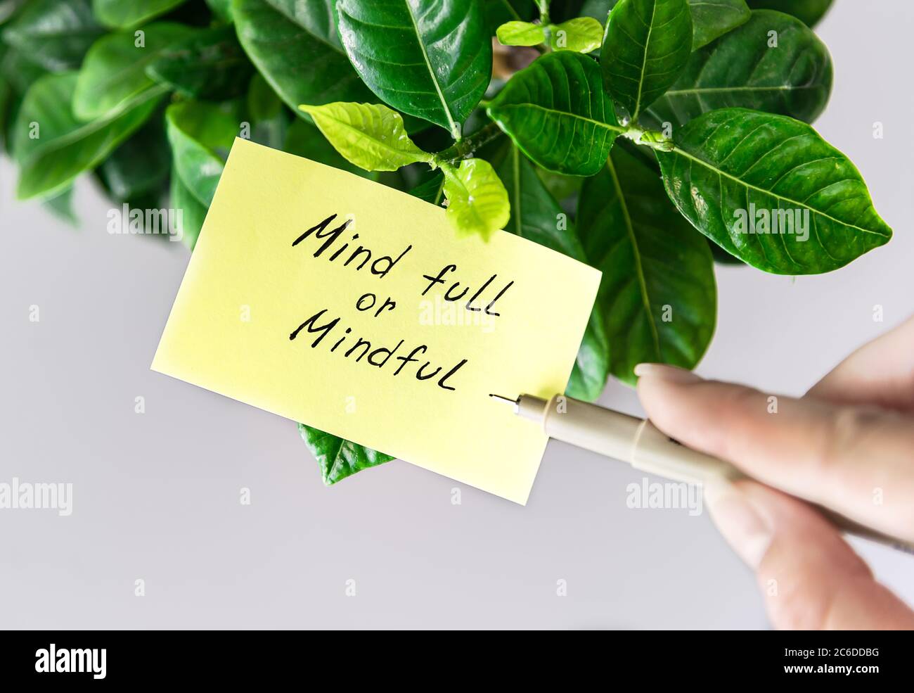 Handwriting text green home hi-res stock photography and images - Alamy