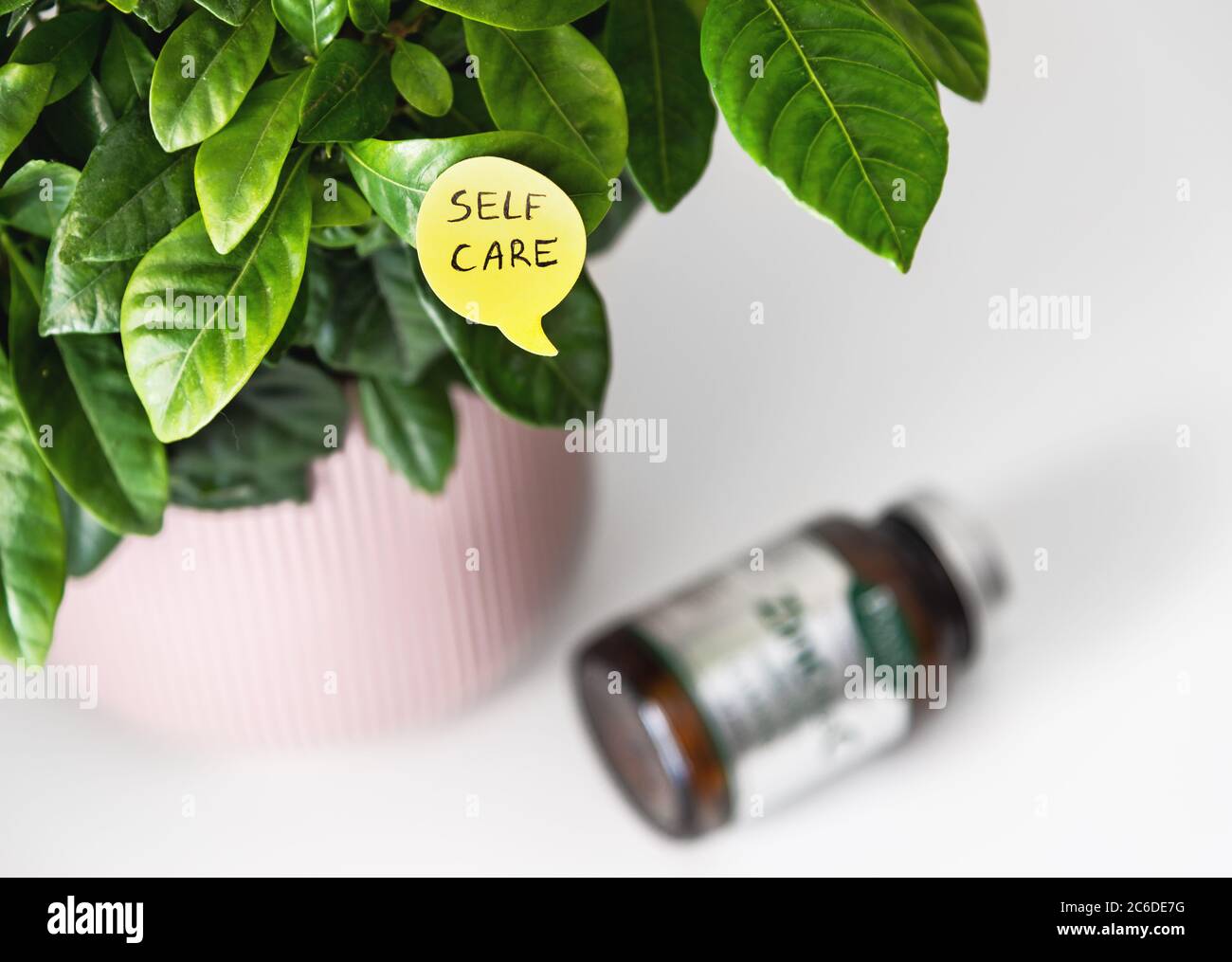 Self care written on yellow sticky note and pinned at home plant with ...