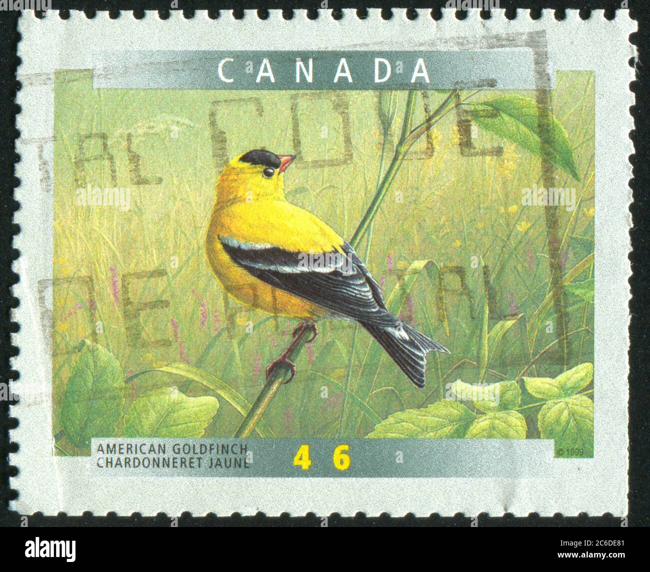 CANADA - CIRCA 1999: stamp printed by Canada, shows American goldfinch ...